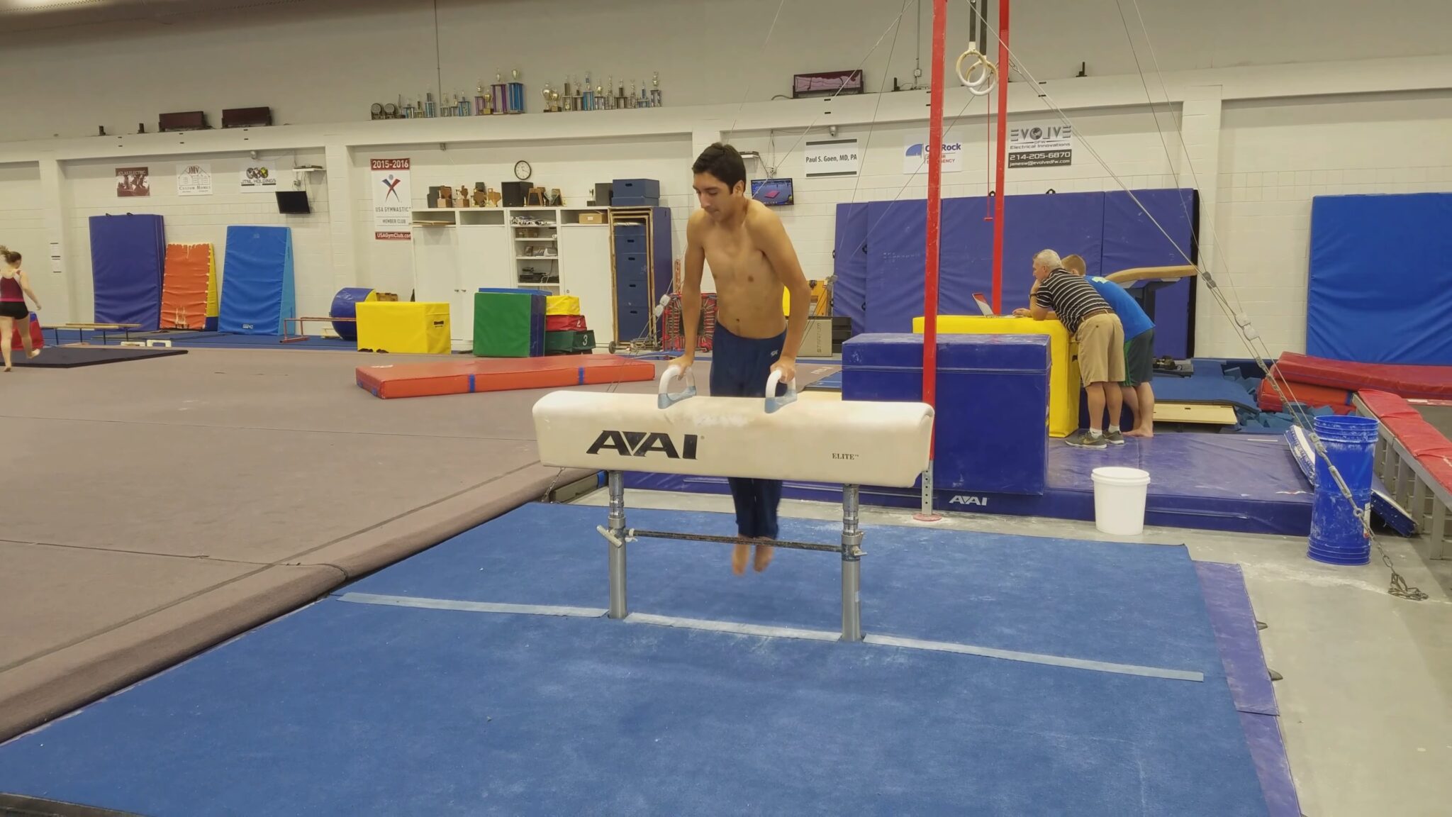 Pommel Horse Definition & Meaning - From History to Heights - Sposci