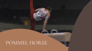 Pommel Horse Definition & Meaning - From History to Heights - Sposci