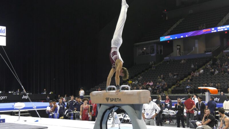 Pommel Horse Definition & Meaning - From History to Heights - Sposci