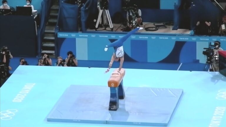Pommel Horse Definition & Meaning - From History to Heights - Sposci